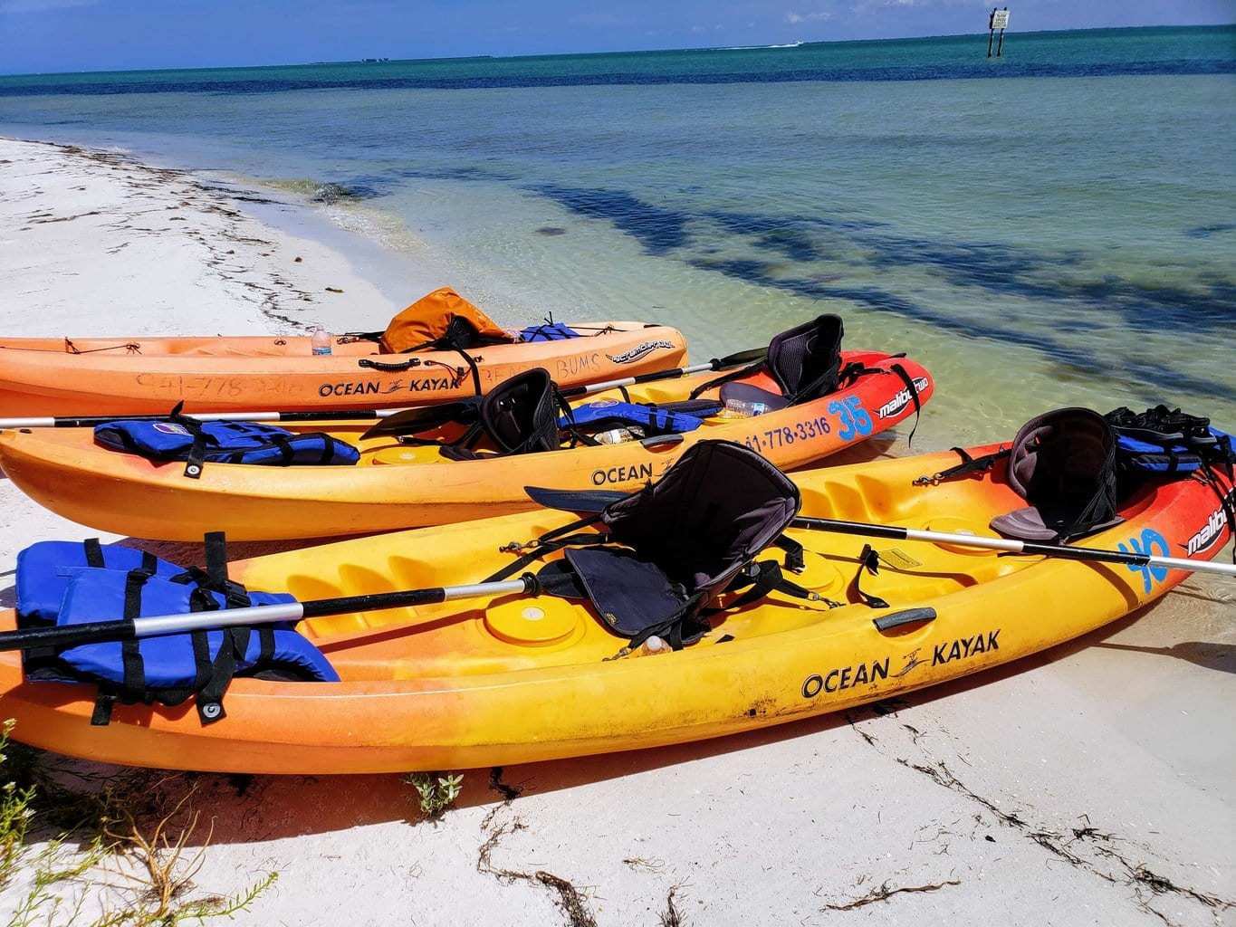 Beach Bums Kayaking on Anna Maria Island - A Family Fun Adventure
