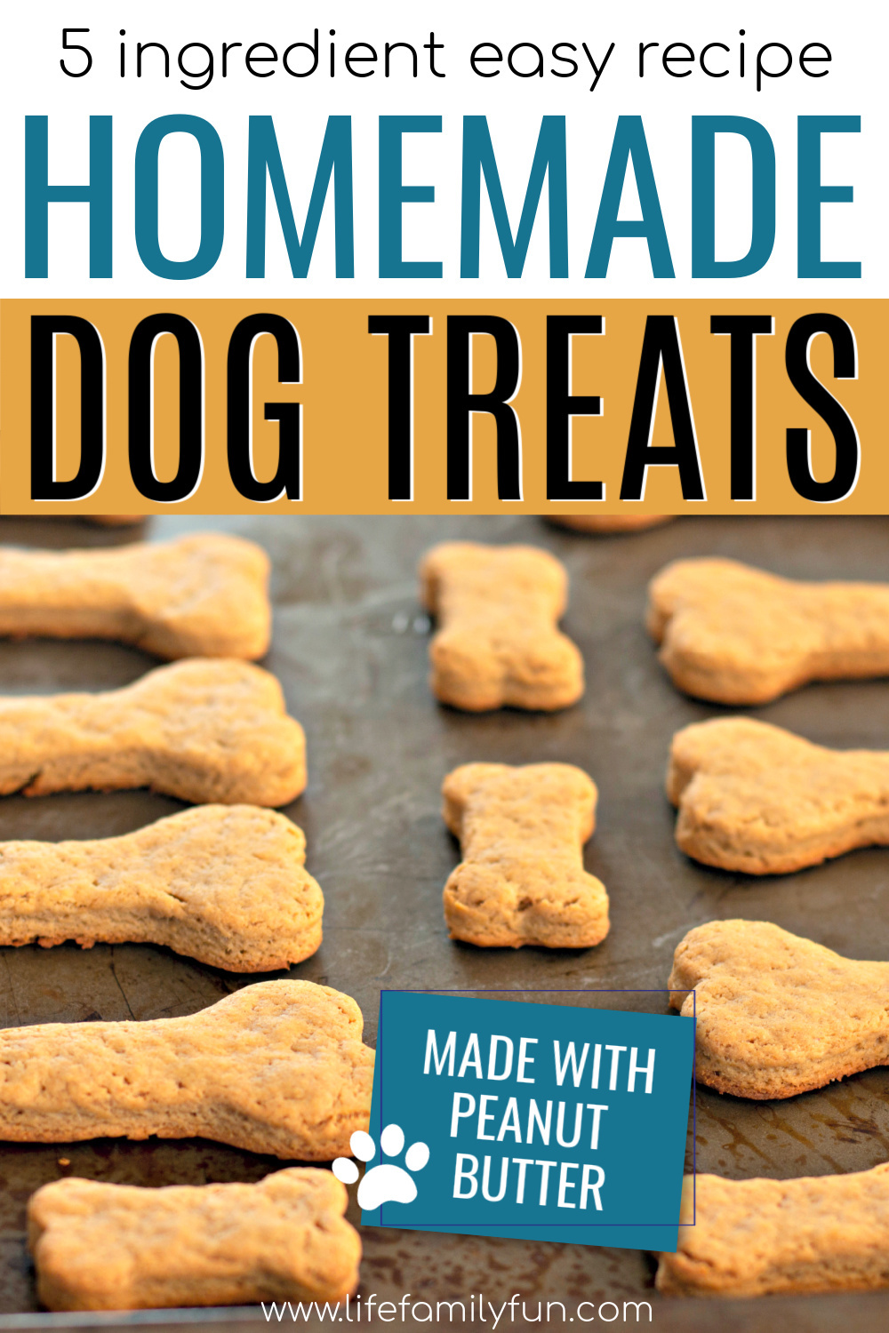 Homemade Dog Treats Dog Treat Recipe Made With Only 5 Ingredients Homemade Dog Treats Dog Treat Recipe Made With Only 5 Ingredients